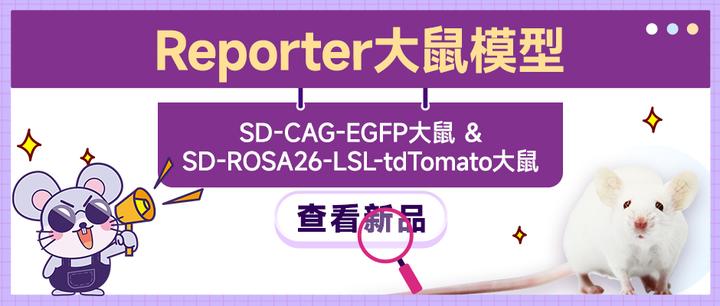 新品上架 | Reporter大鼠模型—SD-CAG-EGFP大鼠&SD-ROSA26-LSL-tdTomato大鼠 - 知乎