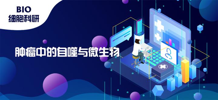 Mol Cancer|Sinan Wang团队综述自噬和微生物群在癌症进展中的相互作用 - 知乎