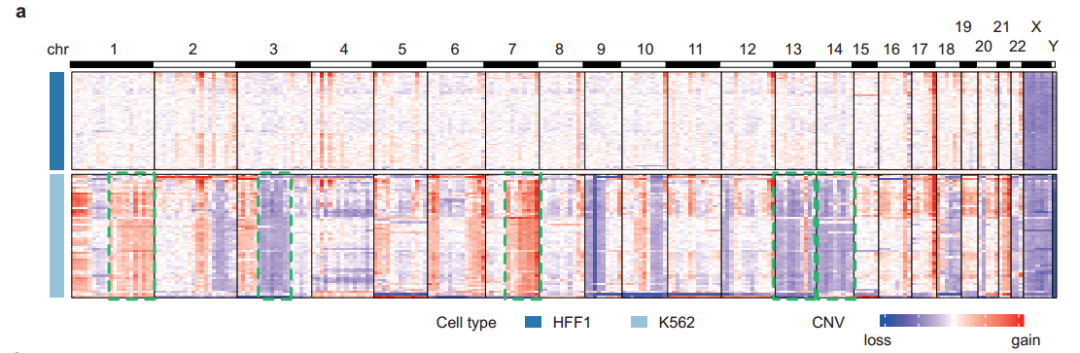 scNanoCOOL-seq: 单细胞多组学测序技术的新里程碑 - 知乎