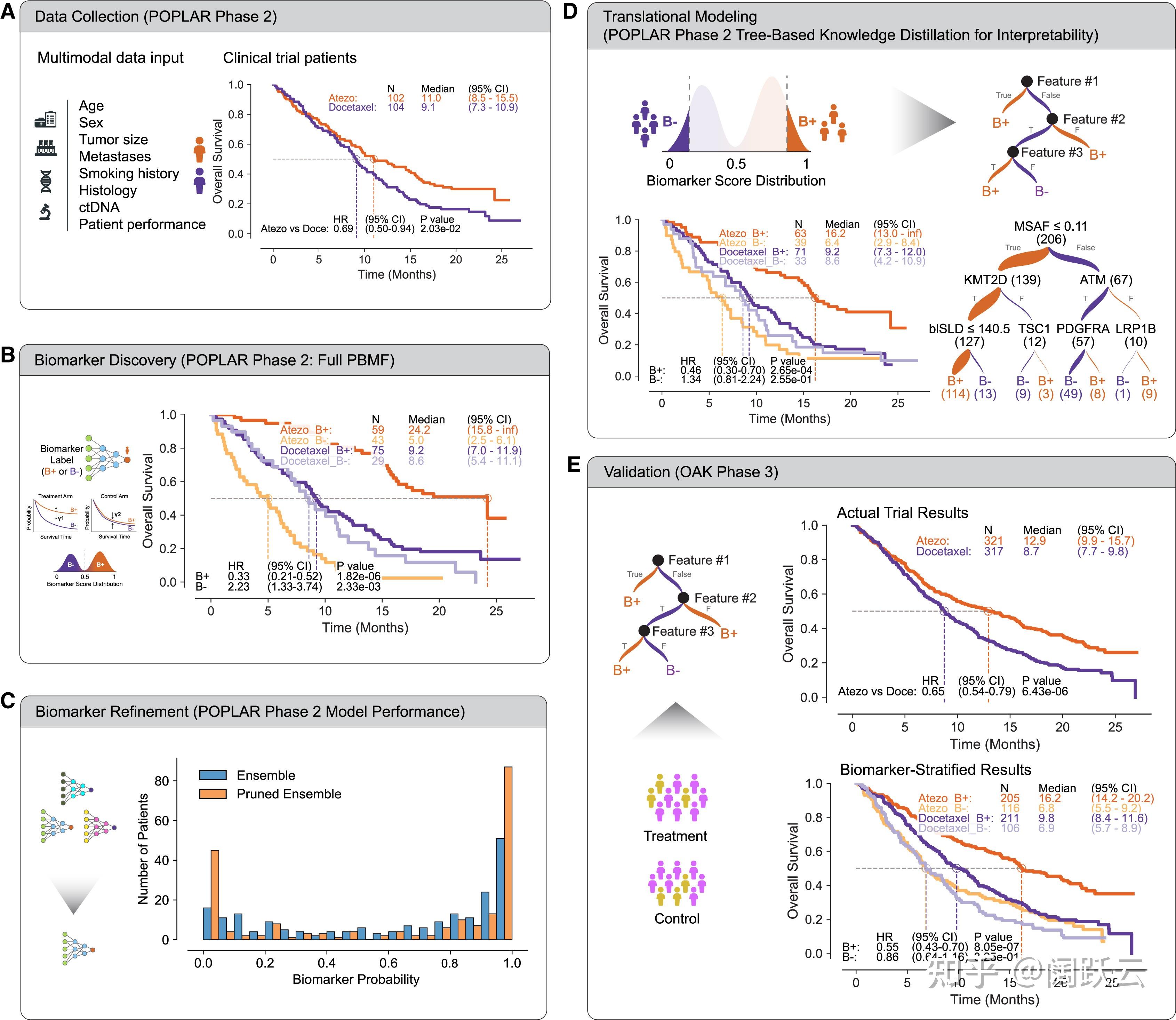 【前沿速递】AI驱动的预测性生物标志物发现：颠覆性对比学习框架PBMF，让临床试验成功率翻倍！ - 知乎