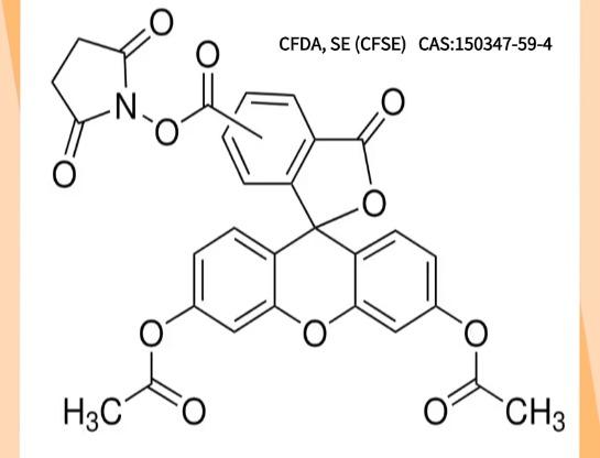 CAS: 150347-59-4，CFDA, SE是一种稳定的细胞膜渗透性非荧光染料 - 知乎