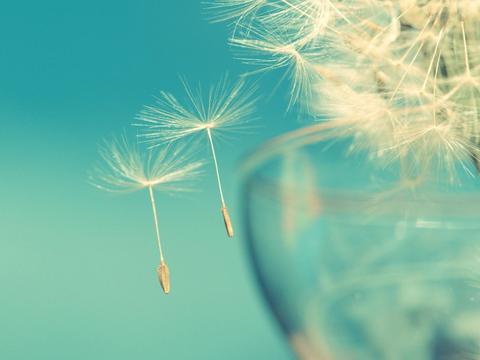 KC 62619：2022标准介绍 - 知乎