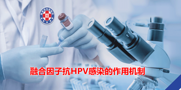 什么是PHPV融合因子？融合因子抗HPV感染的作用机制有哪些？ - 知乎
