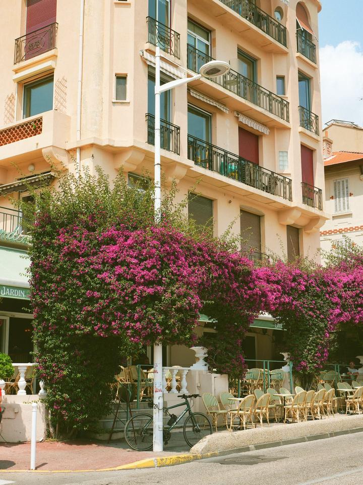 City walk，凭什么成为旅游爆款 - 知乎