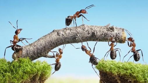 采购人必备的专业能力和职业规划（二） - 知乎