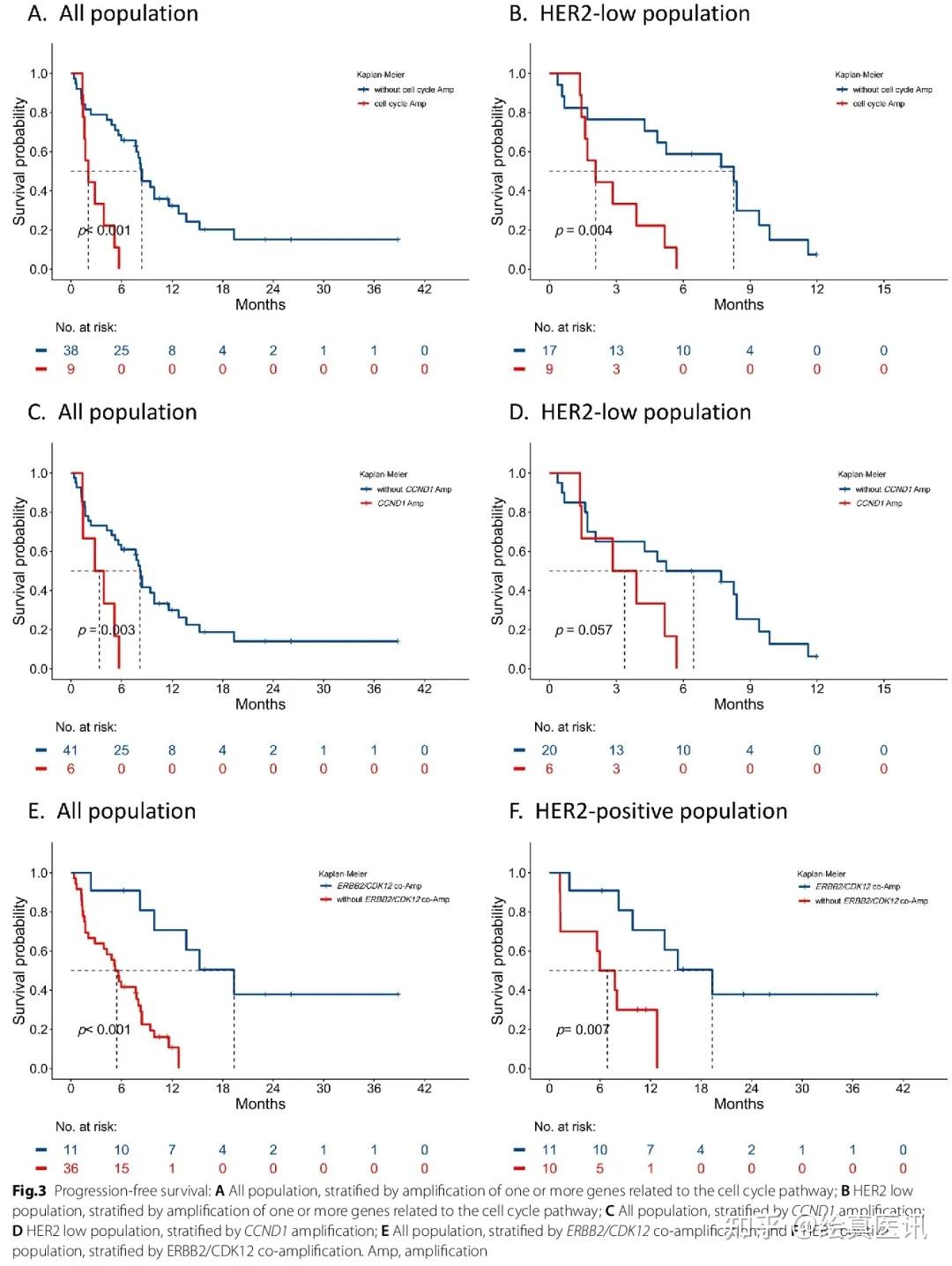 首个真实世界数据：HER2-ADC治疗转移性乳腺癌效果悬殊，基因检测暗藏玄机？ - 知乎