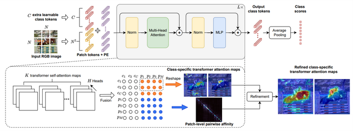 MCTformer:Multi-class Token Transformer for Weakly supervised Semantic Segmentation(CVPR2022) - 知乎