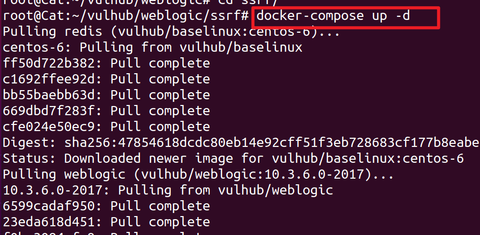 Docker 环境及vulhub靶场的搭建 - 知乎
