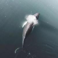 ChiMerge算法 - 知乎