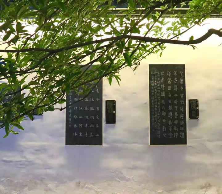 Vue 自定义指令 知乎
