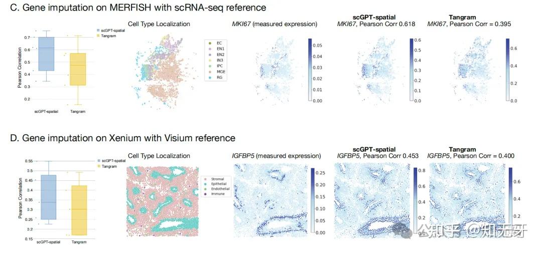 scGPT-spatial：空间转录组学单细胞基础模型的连续预训练 - 知乎