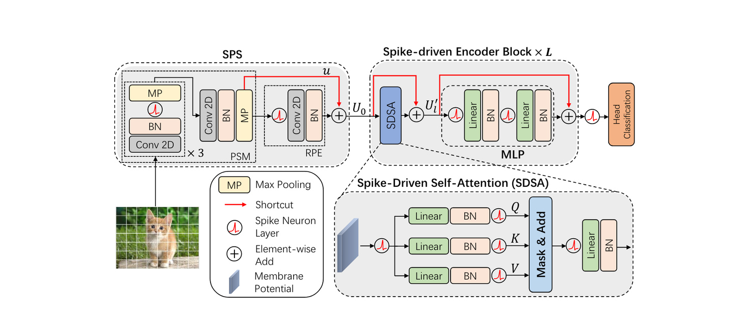 论文阅读&总结：脉冲形式的Transformer（SpikeGPT & Spikformer） - 知乎