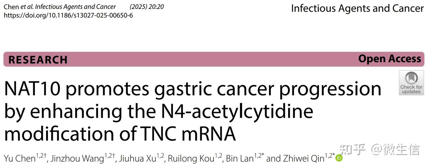 客户文章：从ac4C修饰到胃癌致病机制，NAT10的潜力与突破 - 知乎