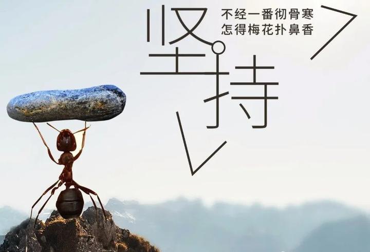坚持，才能有成 知乎