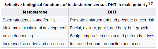 DHT（双氢睾酮）对健身增肌的影响（健身与脱发） - 知乎