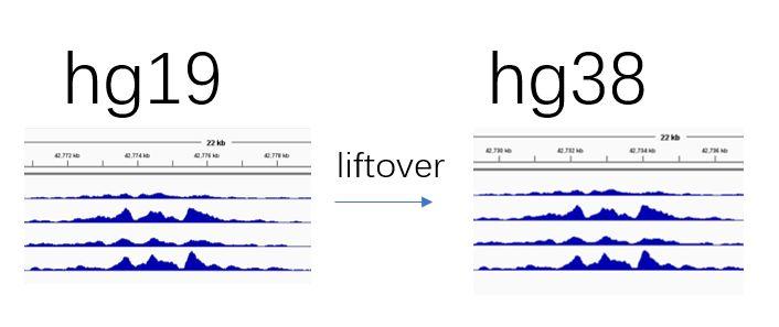 做研究用hg19还是hg38基因组？一行代码将hg19的bw文件转成hg38 - 知乎