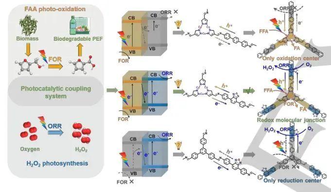 Angew：Cu3-BT-COF助H2O2光合FFA光氧化 - 知乎