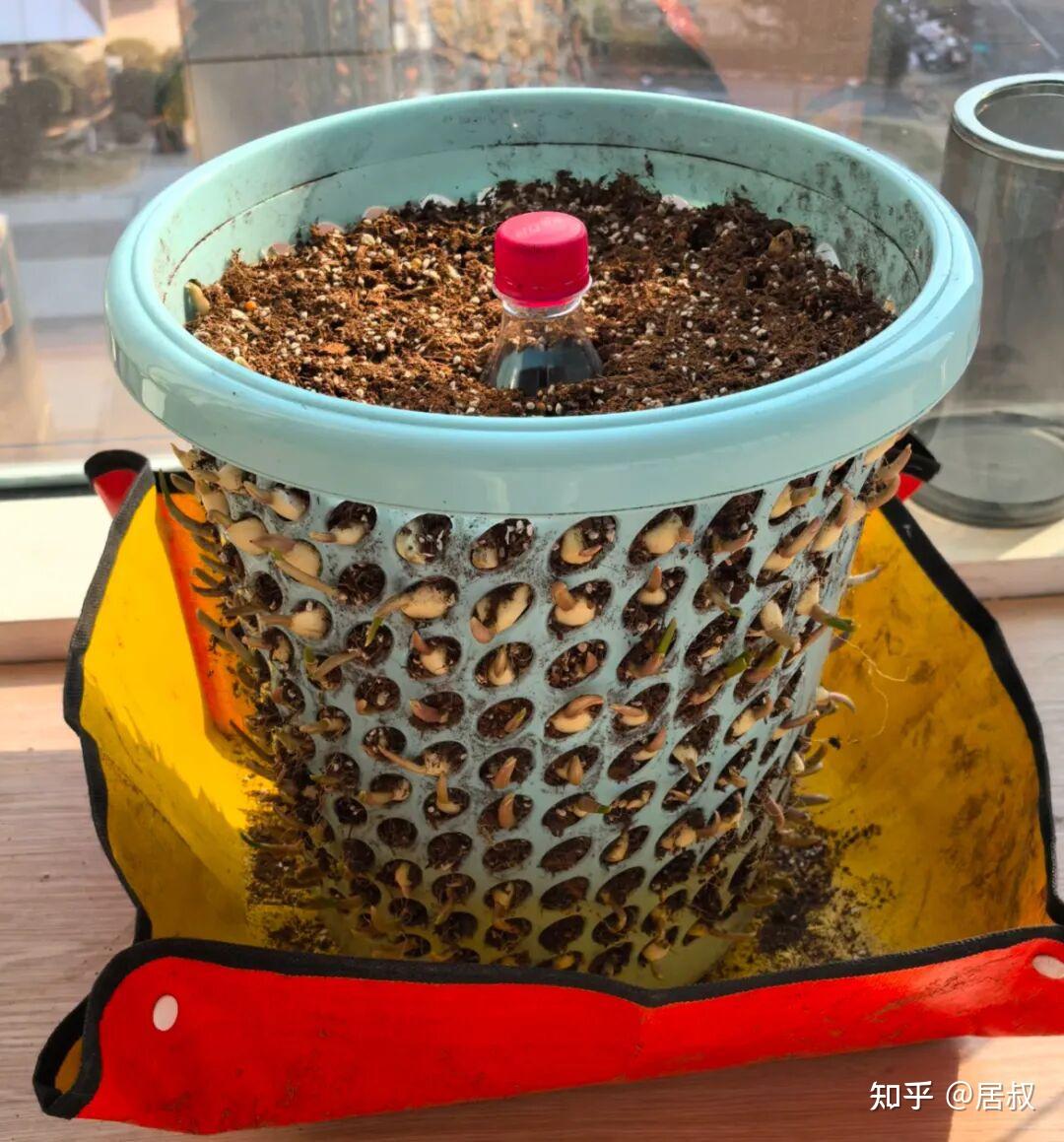 我妈攒的居然不是破烂，这些闲置物品用法，真的惊呆了我！ - 知乎