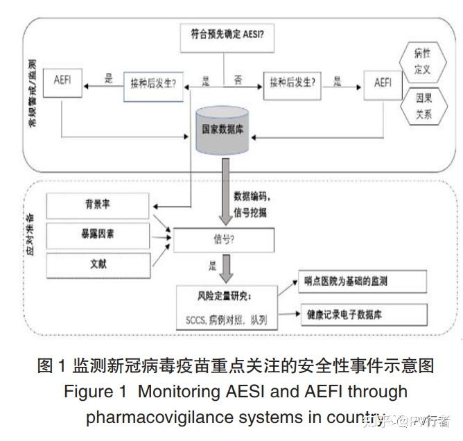你想要了解的特别关注不良事件（AESI） - 知乎