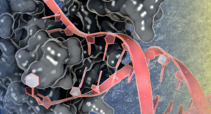 Nat. Methods | RoseTTAFoldNA准确预测蛋白质-核酸复合体 - 知乎