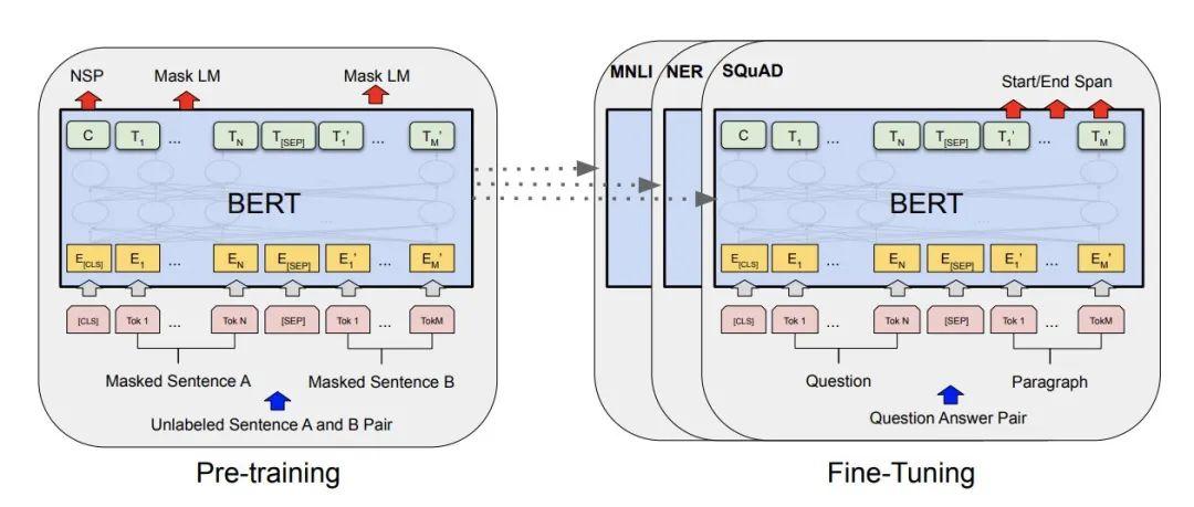 保姆级教程，用PyTorch和BERT进行文本分类 - 知乎