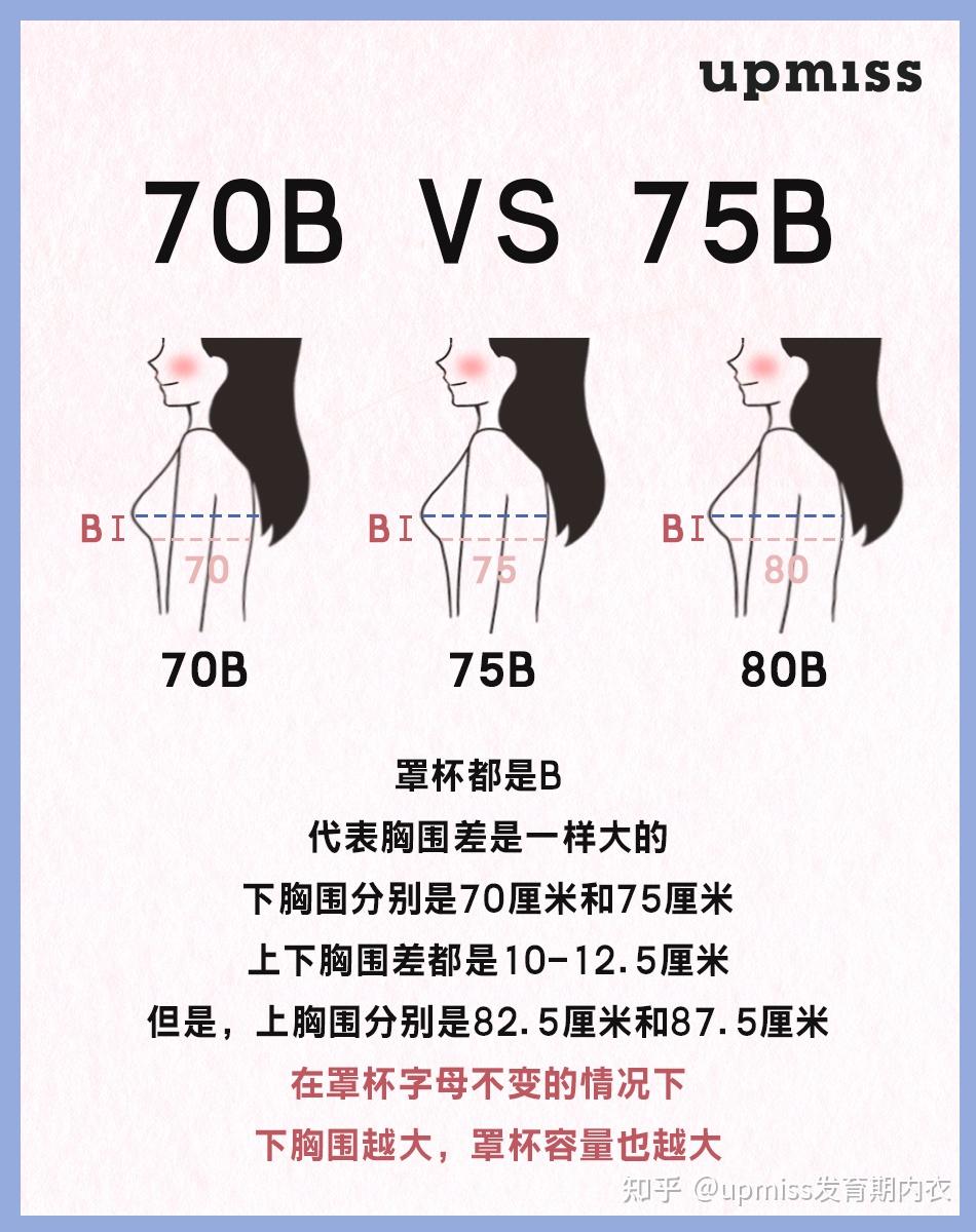 胸部科普 l 70B和75B哪个大？看完这个全懂了 - 知乎