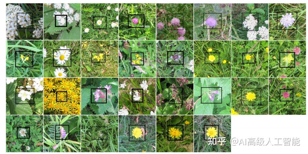 目标检测的里程碑式算法 - 知乎