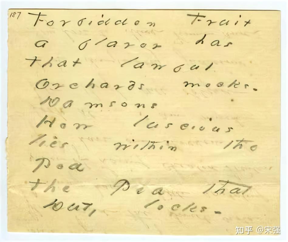 Emily Dickinson(艾米莉·狄金森)《A Word dropped careless on a Page》《一个单词不小心落在页面 ...