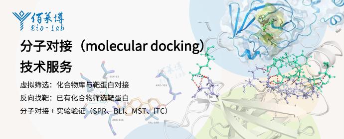 分子对接（molecular docking）技术介绍 - 知乎