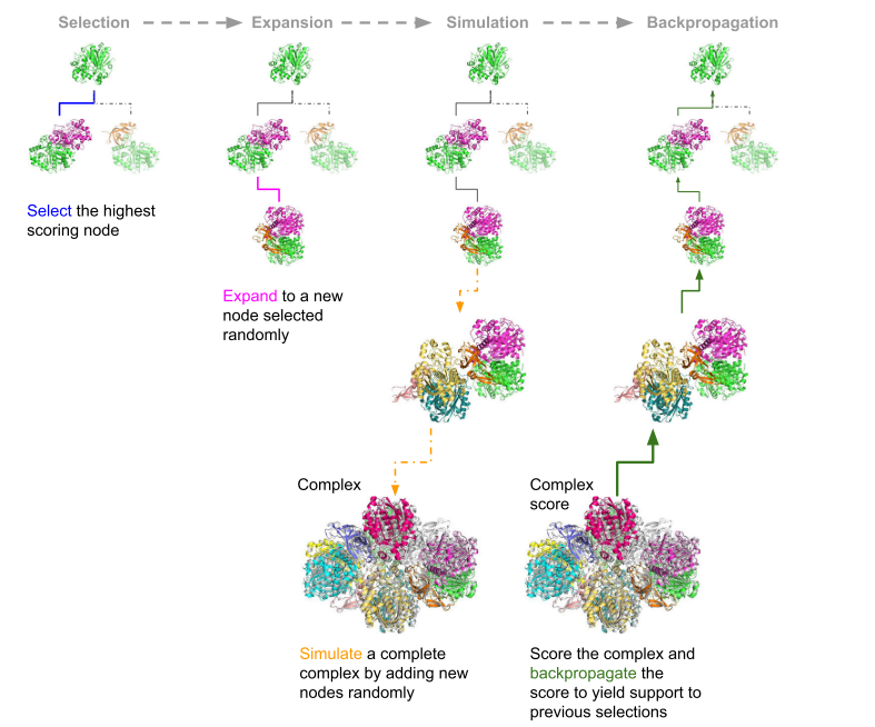Nat. Commun. | 使用AlphaFold和蒙特卡洛树搜索预测大型蛋白质复合物 - 知乎
