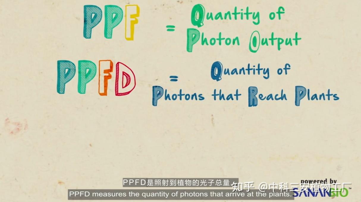 PPF、PPFD、光效、光谱，这些植物照明光学术语你都知道吗？ - 知乎