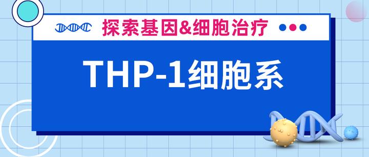 THP-1细胞系在免疫与炎症研究中的应用 - 知乎