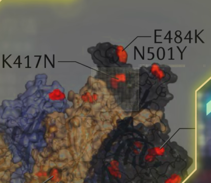 新冠病毒突变编年史 - 知乎