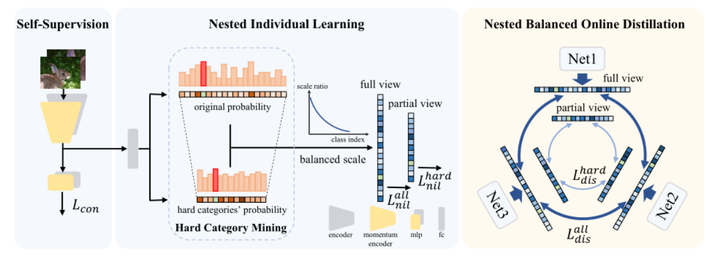 《Nested Collaborative Learning for Long-Tailed Visual Recognition》基于嵌套协作学习的长尾视觉识别 - 知乎