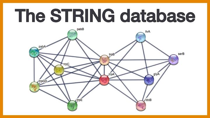 Stringdb 交互式可视化蛋白网络互作 知乎