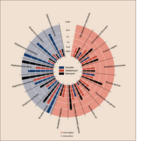 labelimg的安装和简单使用 - 知乎