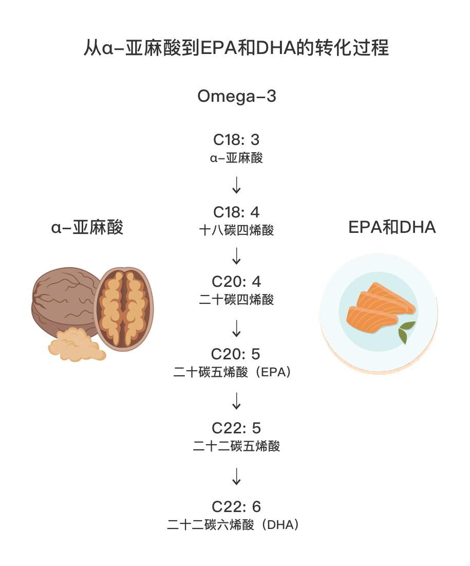 成人需要补充DHA吗？ - 知乎