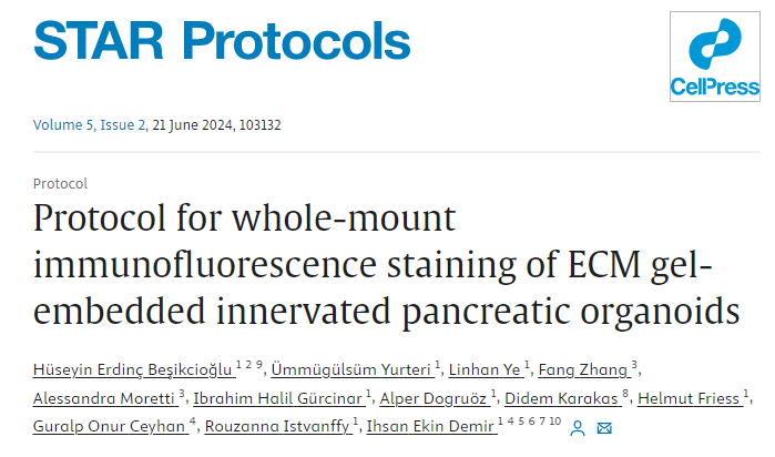 从Matrigel到更多：一种通用ECM包埋类器官模型免疫染色优化方案 - 知乎