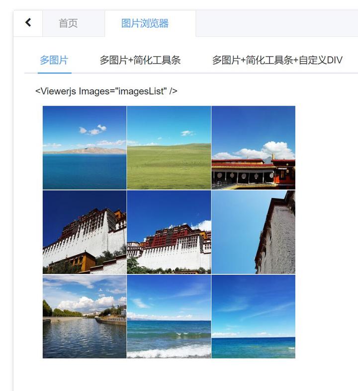 Blazor组件自做一 使用js隔离封装viewerjs库 知乎