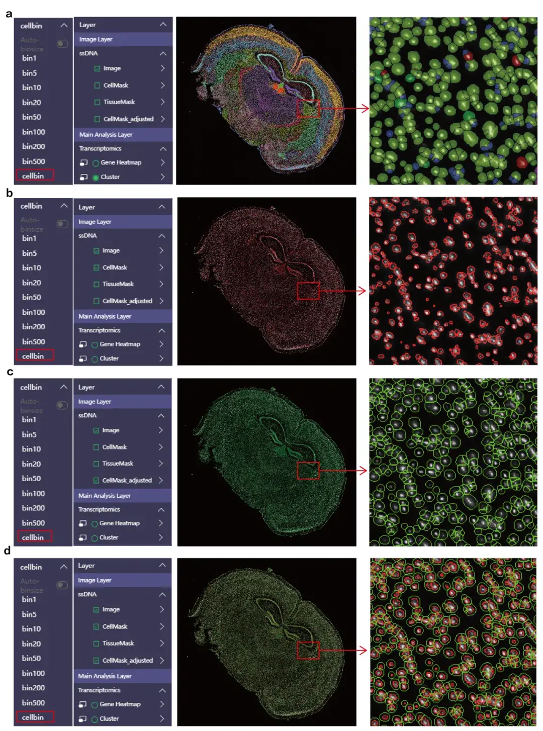 Stereo-seq CellBin多样化场景及结果交互式操作 - 知乎