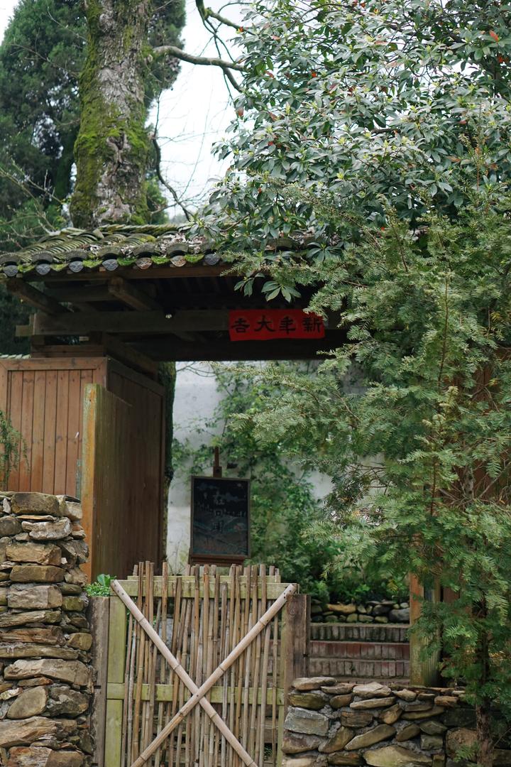 vue2 移动端引入图片预览功能 - 知乎