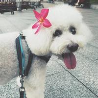 SN-2 DHA真的比普通DHA吸收更好吗？ - 知乎