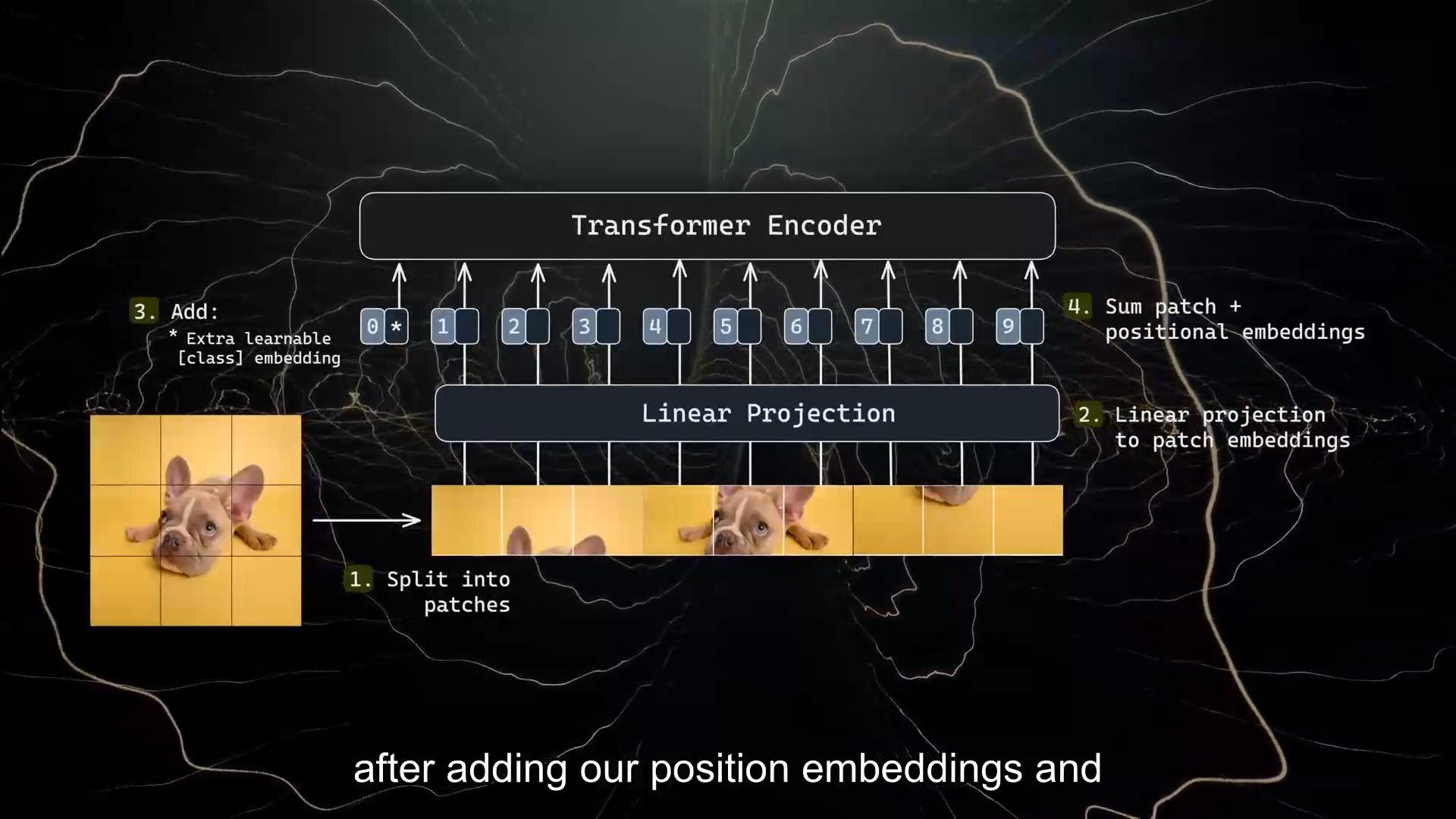 为什么VIT模型使用卷积来实现linear projection？ - 知乎