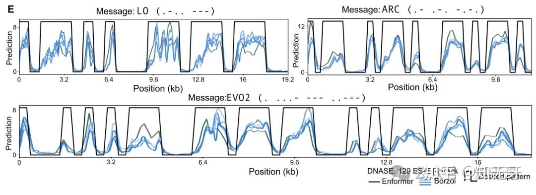 Evo2：跨生命领域的基因组“造物主”模型 - 知乎