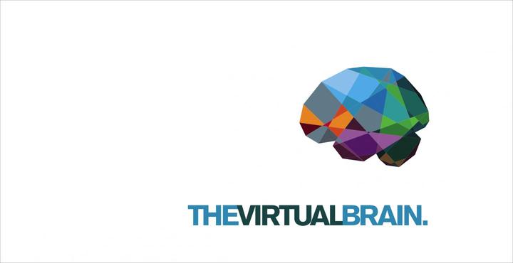 TheVirtualBrain: Brain Network Dynamics Simulator - 知乎