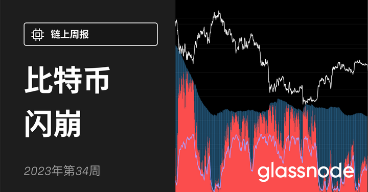 冰糖橙闪崩--glassnode链上周报（2023年第34周） - 知乎