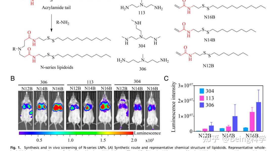 PNAS：许巧兵团队开发肺靶向LNP，实现mRNA药物安全高效和特异性递送 - 知乎