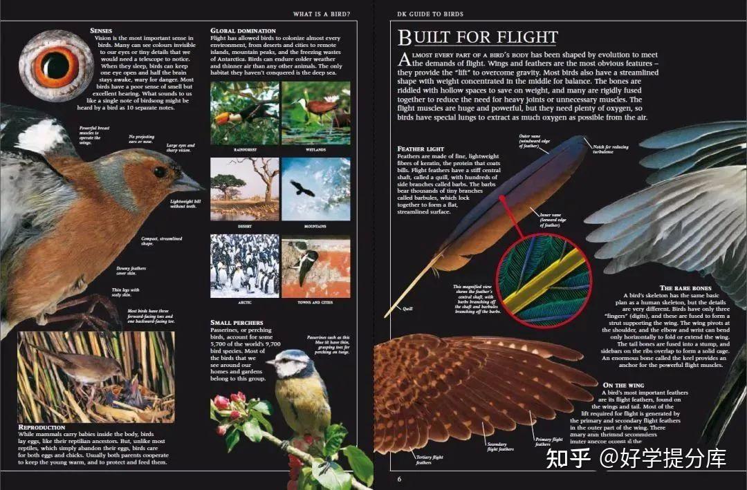 《DK儿童百科全书合集》560本英文版高清无水印pdf下载 - 知乎