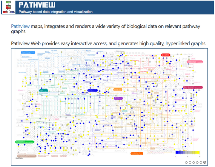 干货分享 | 实现通路与组学数据的结合，一个pathview就够啦！ - 知乎