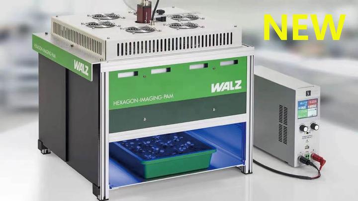 HEXAGON-IMAGING-PAM发布：让叶绿素荧光成像回归光合作用研究 - 知乎